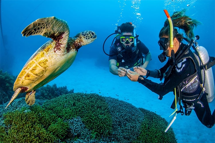 Top 5 places to go for scuba diving | Travel Blogs